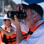 Los Cabos Whale Watching (Transportation and Pictures Included) - Why This Tour Is Worth Considering
