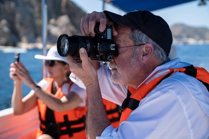 Los Cabos Whale Watching (Transportation and Pictures Included) - Why This Tour Is Worth Considering