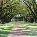 Louisiana: Laura, Oak Alley, or Whitney Plantation Tours - Introduction to the Tour Experience