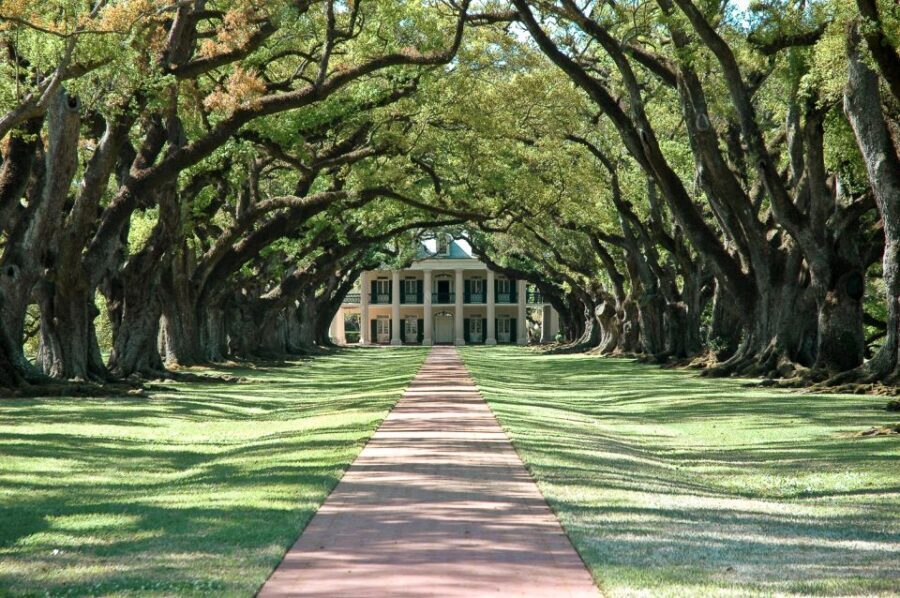 Louisiana: Laura, Oak Alley, or Whitney Plantation Tours - Introduction to the Tour Experience