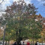 Lower Manhattan: From Financial Power to Enduring Hope - Who Will Enjoy This Tour?