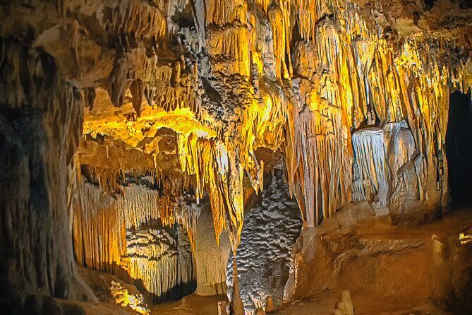 Luray Caverns Private Round Trip Transfer By Luxury Vehicle - Transportation and Logistics