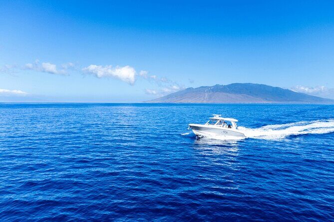 Luxury 6 passenger Boston Whaler Private Charter - Detailed Breakdown of the Itinerary