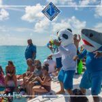 Luxury Catamaran tour to isla mujeres with transportation from Tulum - Practical Tips for Your Trip