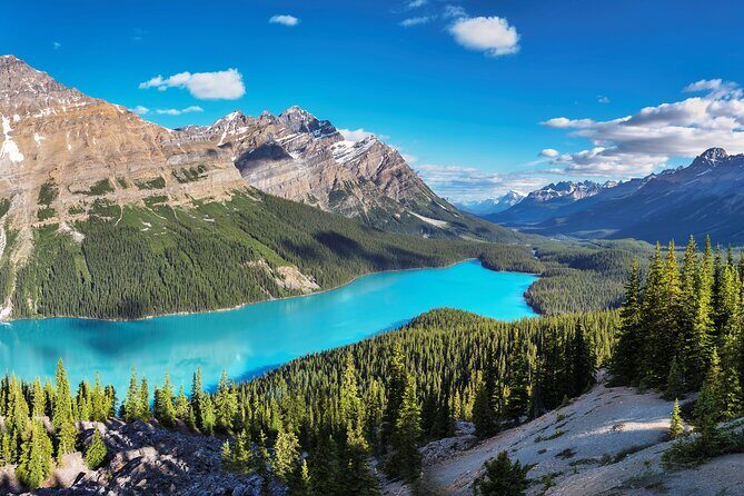 Luxury Private Tour of Lake Louise, Moraine, Peyto and Banff - Scenic Drive and Wildlife Spotting Opportunities