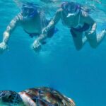 Luxury Sailing & Snorkeling Experience from Riviera Maya - Final Thoughts: Is This Tour Worth It?