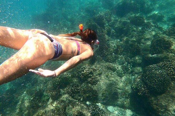 Luxury Snorkel Adventure in Cabo - Snorkeling in Secluded Marine Parks