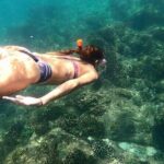 Luxury Snorkeling Tour in Cabo San Lucas - Who Would Love This Tour?
