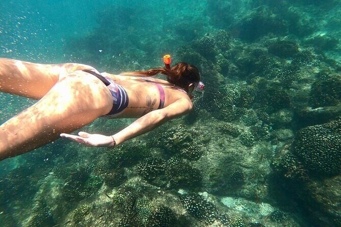 Luxury Snorkeling Tour in Cabo San Lucas - Who Would Love This Tour?