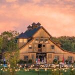 Luxury Wine Tour in Washington DC to Loudoun County Vineyards - Cost and Value Analysis