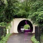 Magical Golf Cart Tour Through Peachtree City Trails - Who Is This Tour Best For?