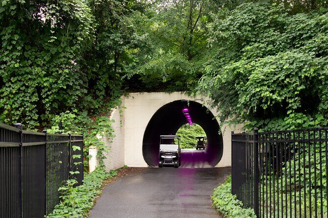 Magical Golf Cart Tour Through Peachtree City Trails - Who Is This Tour Best For?
