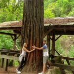 Magical Muir Woods Car Tour (Private & All-Inclusive) - How the Experience Works for You