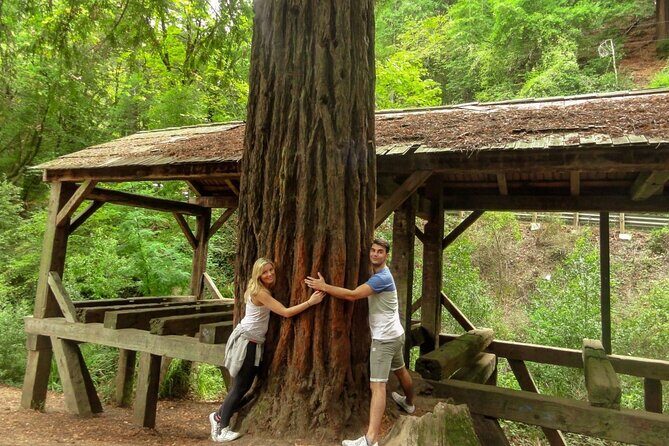 Magical Muir Woods Car Tour (Private & All-Inclusive) - How the Experience Works for You