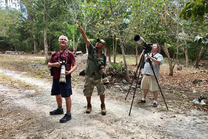 Mahahual and Costa Maya Birdwatching - Detailed Breakdown of the Tour Experience