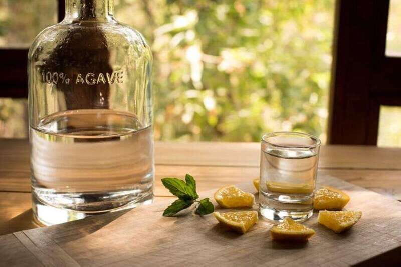 Mahahual: Authentic Mezcal & Tequila Tasting Experience - Who Will Enjoy This Tour?