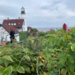 Maine Coast: Bicycle Rentals - Location and Meeting Point: Why It Matters