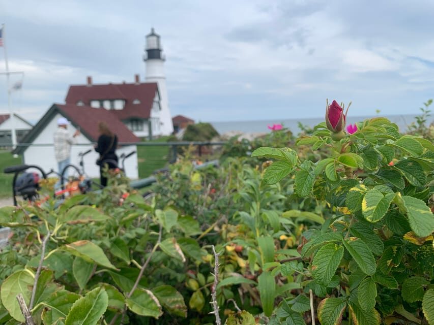 Maine Coast: Bicycle Rentals - Location and Meeting Point: Why It Matters