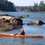 Maine: Penobscot River Guided Kayaking Tour - The Guides and Group Experience