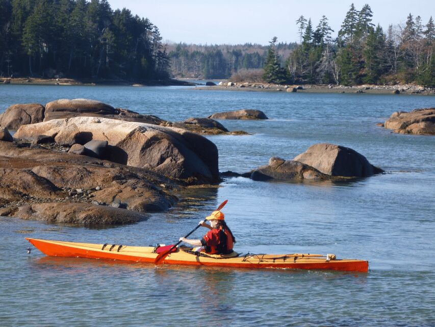 Maine: Penobscot River Guided Kayaking Tour - The Guides and Group Experience