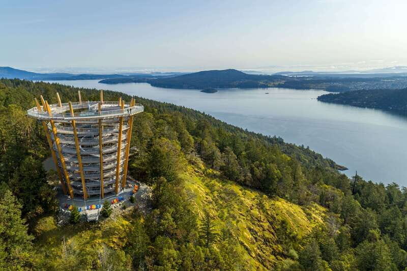 Malahat SkyWalk Ticket - An Elevated Walk Among Giants