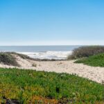 Malibu Magic: Private Coastal Day Trip from Los Angeles - Practicalities and Value