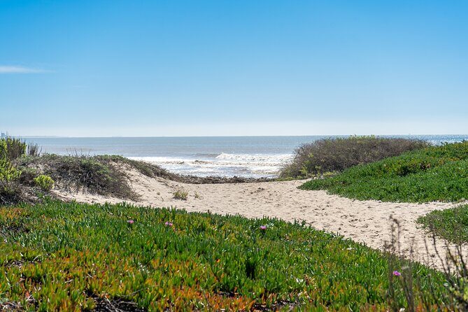 Malibu Magic: Private Coastal Day Trip from Los Angeles - Practicalities and Value
