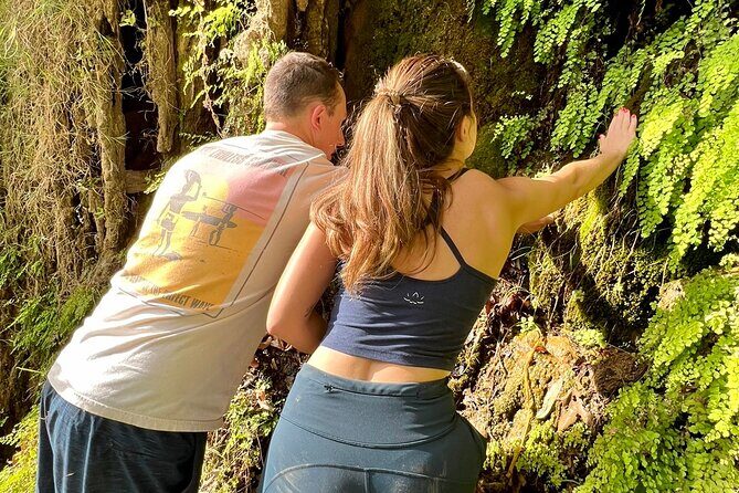 Malibu Waterfall eMTB & Hiking Adventure (Beginner) - Who Should Consider This Tour?