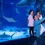 Mall of America: Sea Life Minnesota Aquarium Entry Ticket - Authentic Visitor Feedback