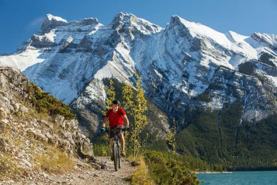 Mammoth: Half-Day Premium Mountain Bike or E-Bike Rental - The Ride: What Makes It Special