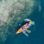 Manatee Kayak Encounter - Final Thoughts