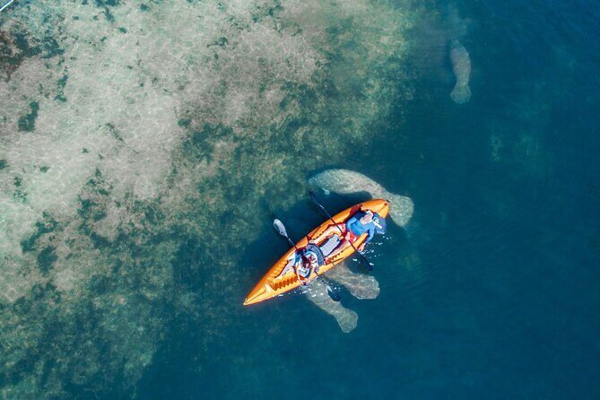 Manatee Kayak Encounter - Final Thoughts