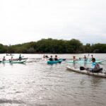 Mangrove Kayaking Tour - A Deep Dive into the Mangrove Kayaking Experience