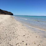 Mangroves & Beaches: Hiking Tour of Balandra, La Paz - A Detailed Look at the Tour