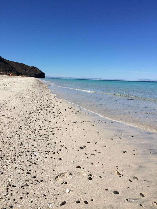 Mangroves & Beaches: Hiking Tour of Balandra, La Paz - A Detailed Look at the Tour
