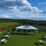 Manhattan: Millbrook Vineyards & Winery Private Tour - The Vineyard Visit: A Taste of the Hudson Valley