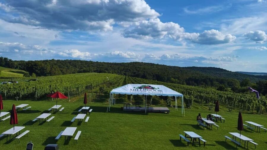 Manhattan: Millbrook Vineyards & Winery Private Tour - The Vineyard Visit: A Taste of the Hudson Valley