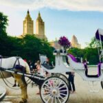 Manhattan: VIP Private Horse Carriage Ride in Central Park - The Route and Landmarks