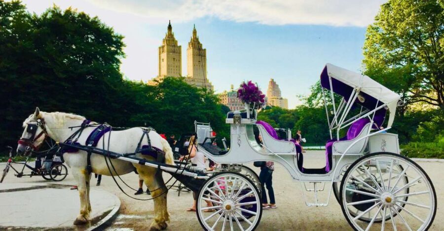 Manhattan: VIP Private Horse Carriage Ride in Central Park - The Route and Landmarks