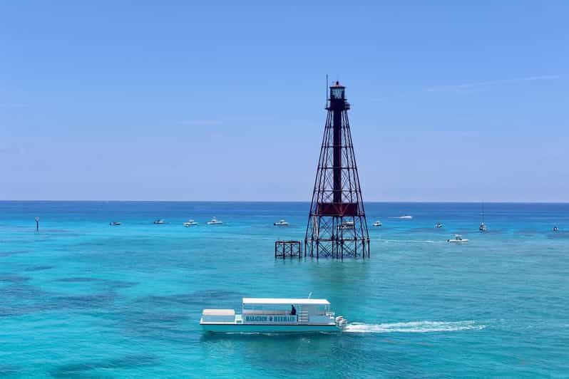 Marathon: Snorkeling Adventure by Boat at Sombrero Reef - Value for Money and Overall Experience