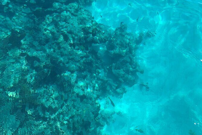 Marathon Sombrero Reef Snorkeling and Sandbar Swim - Detailed Breakdown of the Itinerary