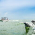 Marco Island: Dolphin-Watching Boat Tour - The Sum Up