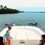 Marco Island: Private Shelling & Dolphin Excursion - The Experience Breakdown: What to Expect from Start to Finish