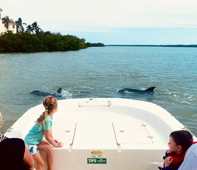 Marco Island: Private Shelling & Dolphin Excursion - The Experience Breakdown: What to Expect from Start to Finish
