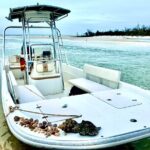 Marco Island Private Tubing, Dolphin Watching and Shelling Tour - What Makes This Tour Stand Out?