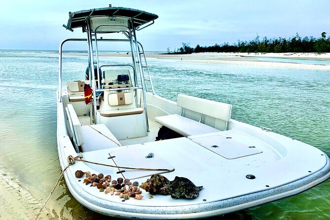Marco Island Private Tubing, Dolphin Watching and Shelling Tour - What Makes This Tour Stand Out?