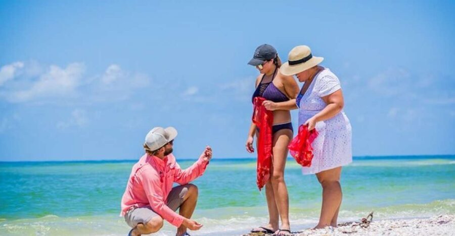 Marco Island: Shelling and Sightseeing Boat Cruise - Authenticity and Traveler Experiences