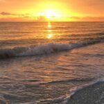 Marco Island: Sunset Boat Tour - What the Reviews Say