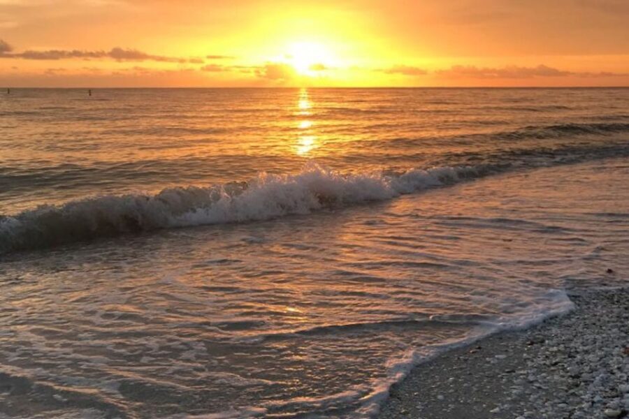Marco Island: Sunset Boat Tour - What the Reviews Say