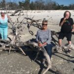 Marco Island: Ten Thousand Islands Shelling & Dolphin Tour - Who Should Consider This Tour?